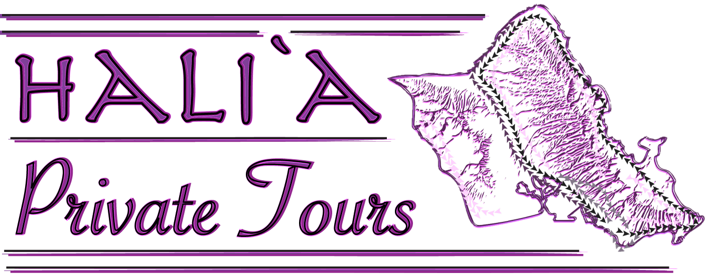 H3 Scenic Drive Oahu Hawaii - Halia Private Tours | Beautiful Natural Views