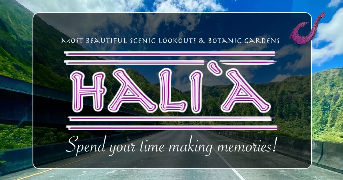 H3 Scenic Drive Oahu Hawaii - Halia Private Tours | Beautiful Natural Views