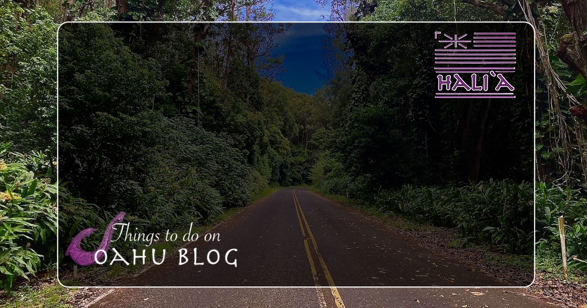 Oahu Scenic Drives: Most Beautiful Roads on the Island - Halia Private ...