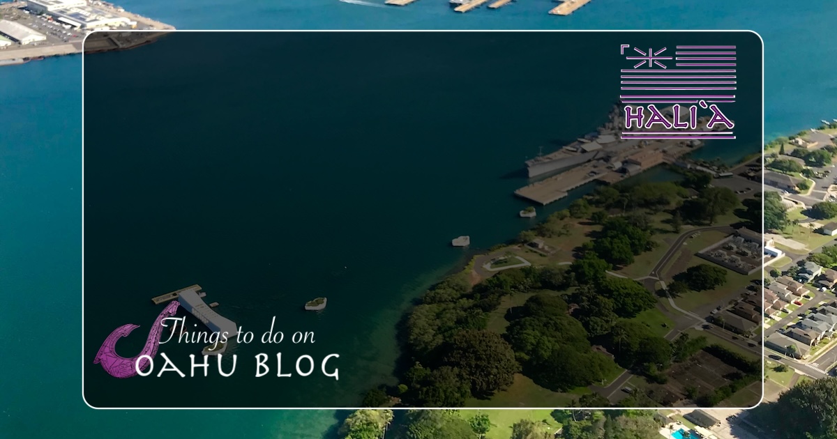 Halia Private Tours Improves Experience, Holds Prices - Halia Private Tours